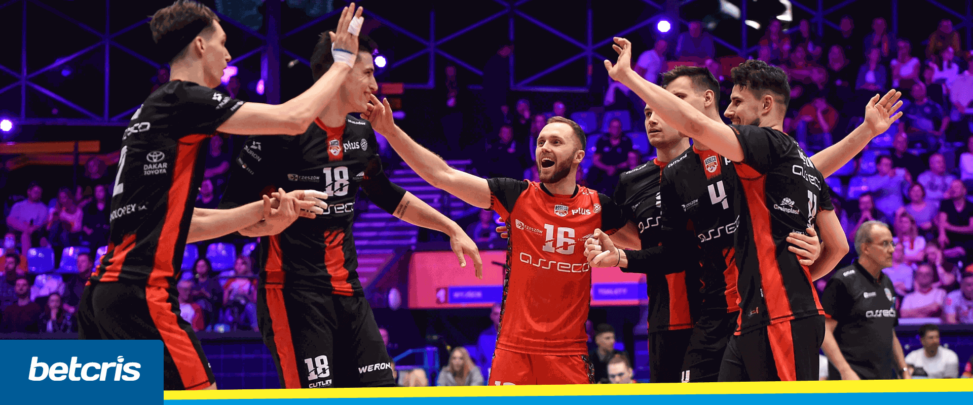 Strona główna – Asseco Resovia Rzeszów - Volleyball Team